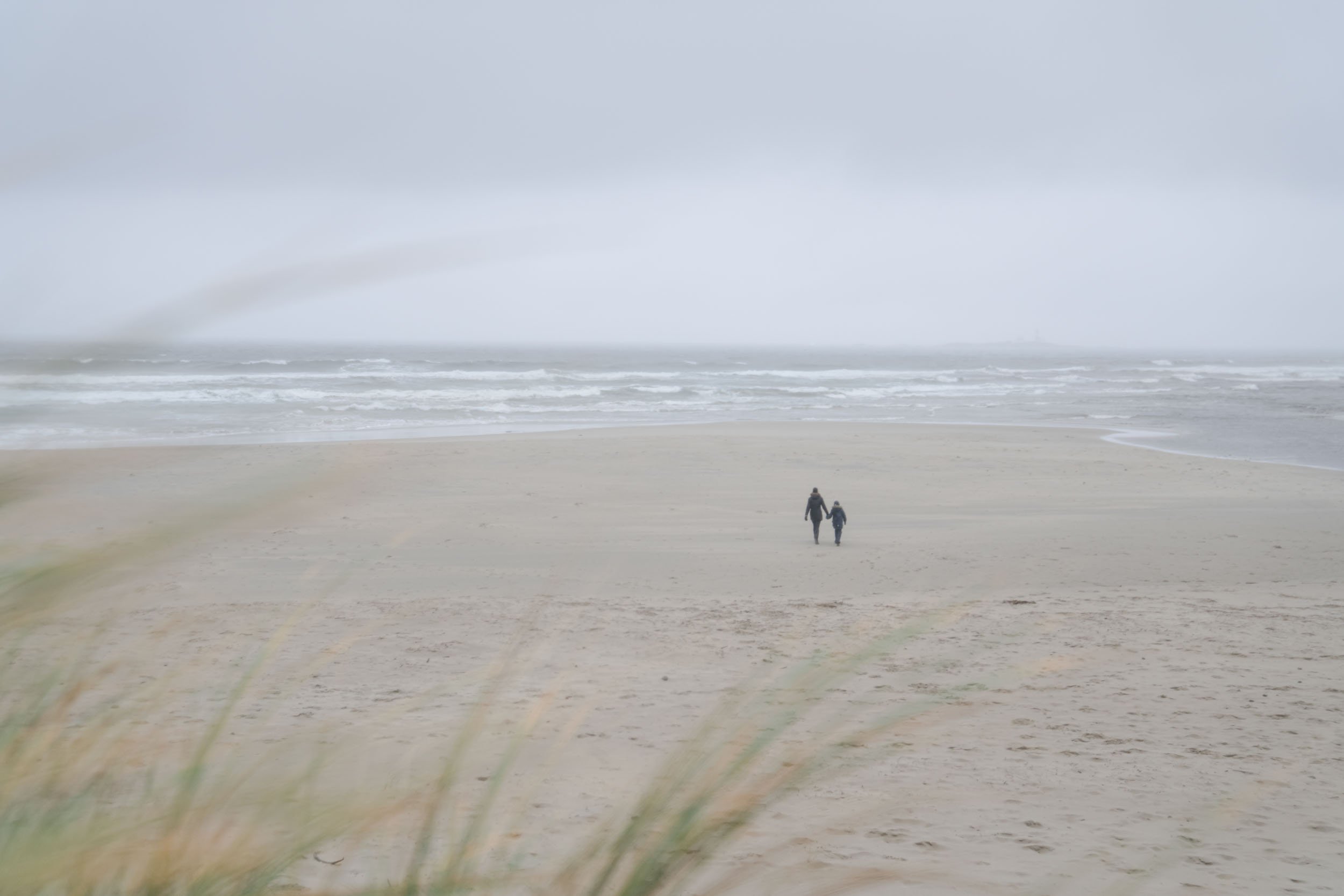 Skuld School - Skuld