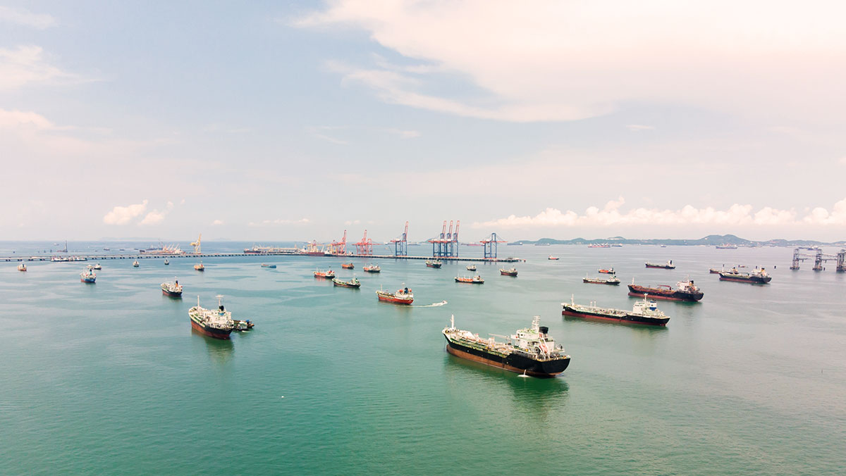 Skuld delivers strong growth in 2024/25 renewal - Skuld