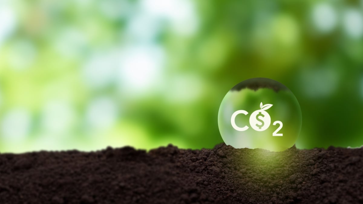 Fuel EU Maritime Regulation: The next legislative piece to make the EU climate neutral - Skuld