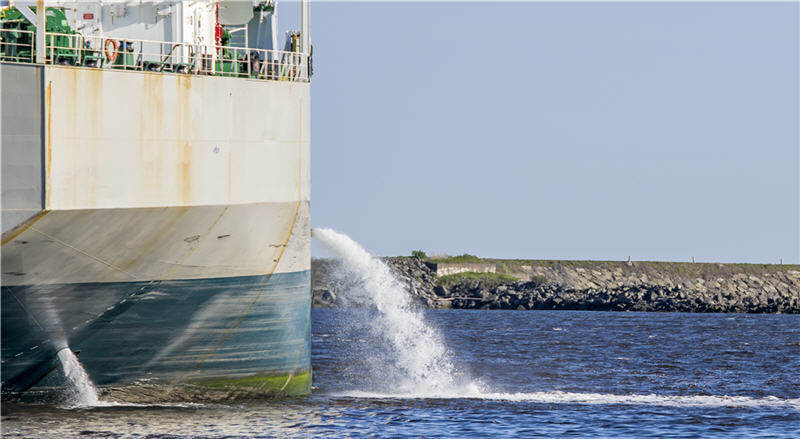 Managing alien stowaways - Skuld